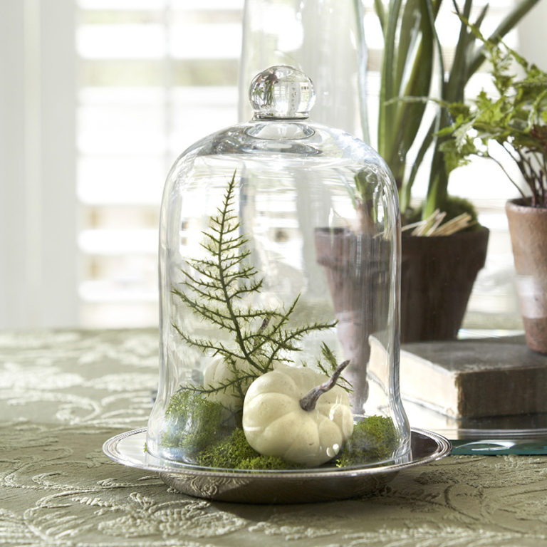 Glass Cloche Dome Displays