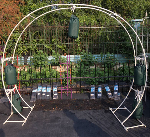 Metal Arches & Stands